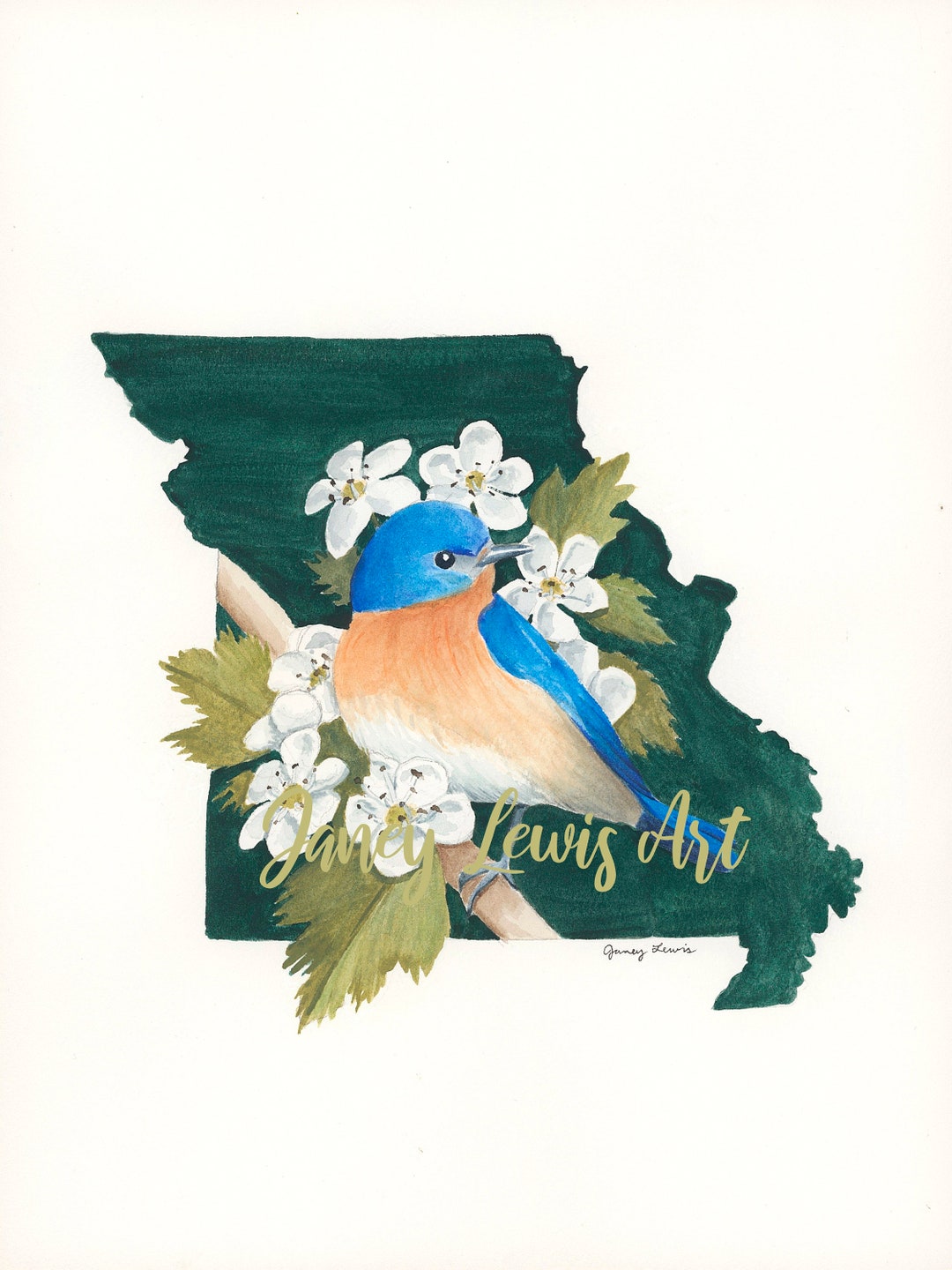 Missouri State Bird and Flower Watercolor Print, Eastern Bluebird and ...