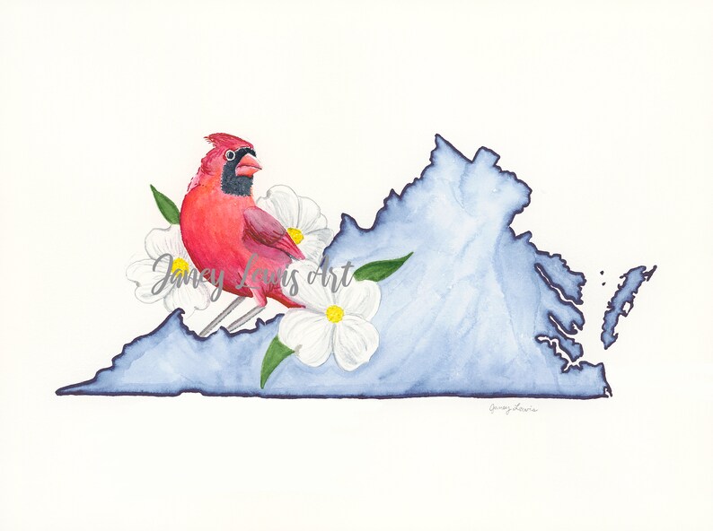 Virginia State Bird and Flower Watercolor Illustration Print/ Nature ...