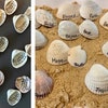 Bible Verse Shells - Etsy