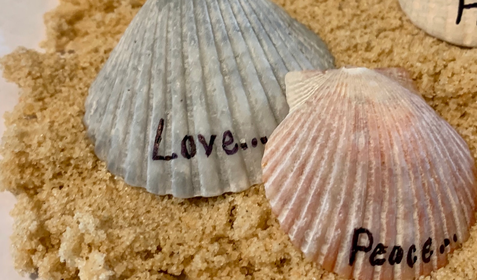 Bible Verse Shells | Etsy