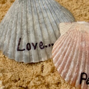 Bible Verse Shells - Etsy