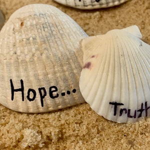 Bible Verse Shells - Etsy