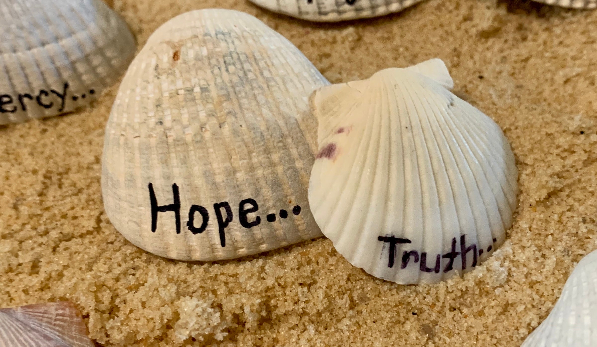 Bible Verse Shells | Etsy