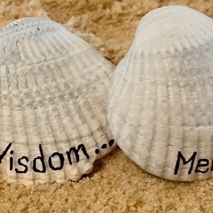 Bible Verse Shells - Etsy