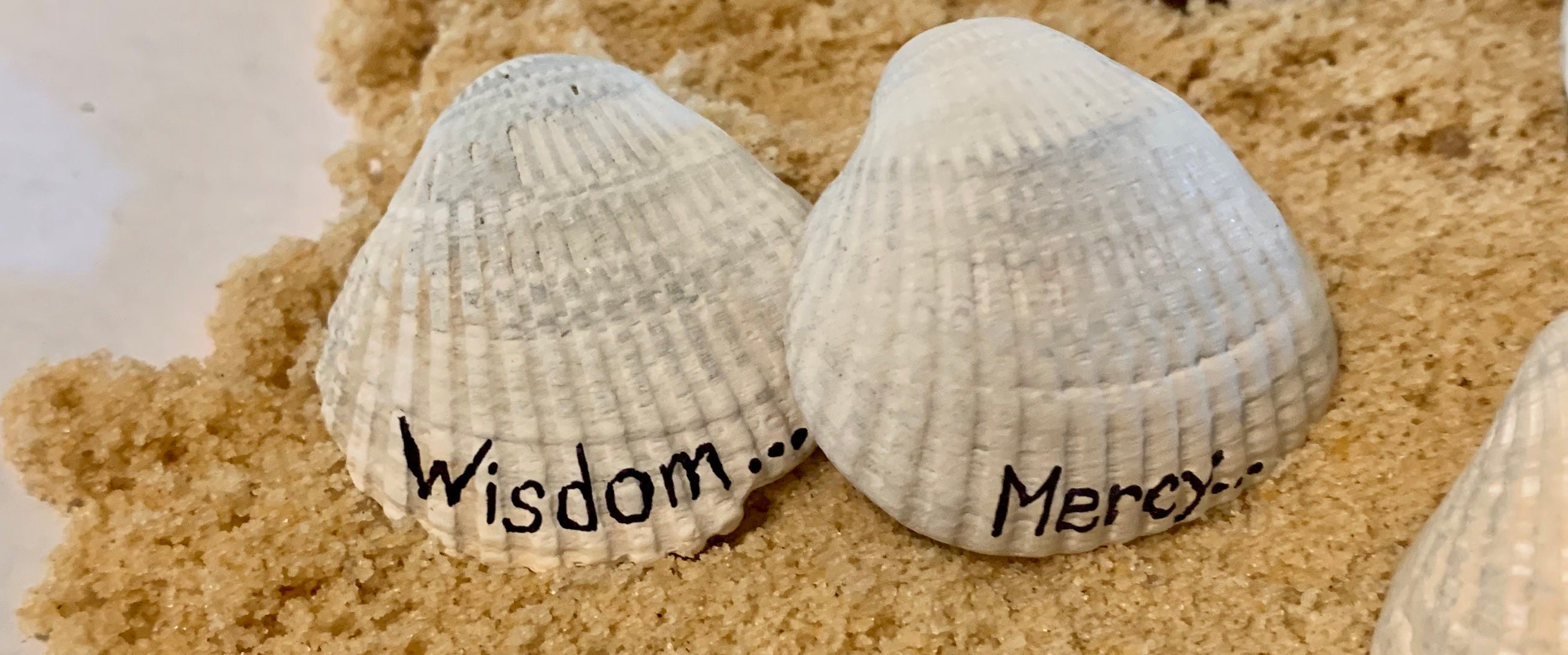 Bible Verse Shells | Etsy