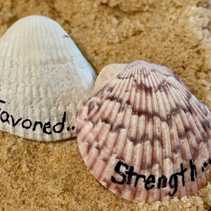 Bible Verse Shells - Etsy