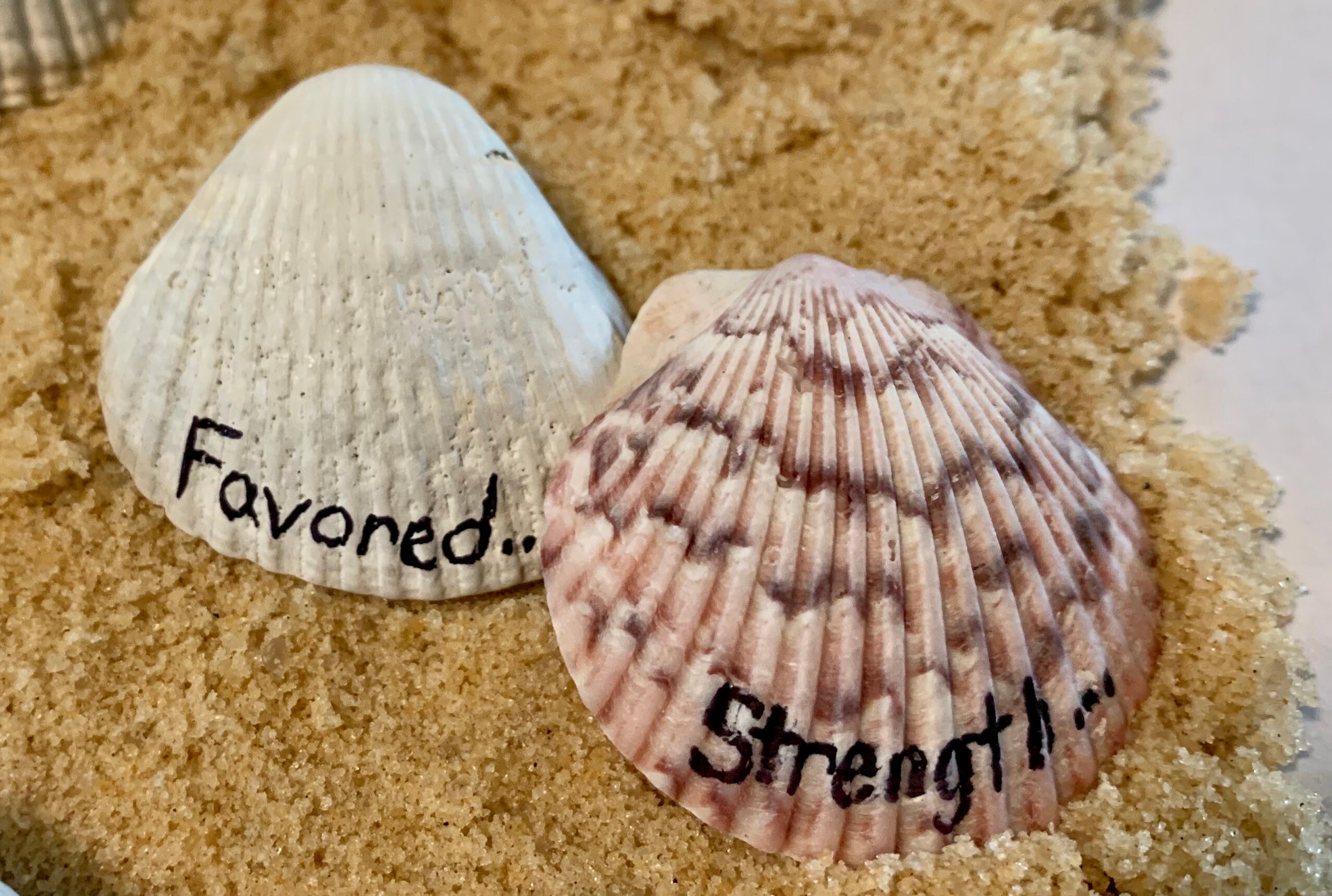 Bible Verse Shells - Etsy