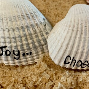 Bible Verse Shells - Etsy