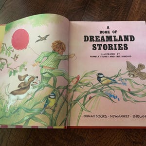 A Book of Dreamland Stories - Etsy