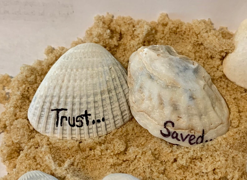 Bible Verse Shells - Etsy