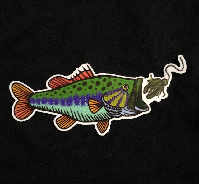 Bass Fishing, Largemouth Bass, Smallmouth Bass, Wiper Bass, Fishing ...