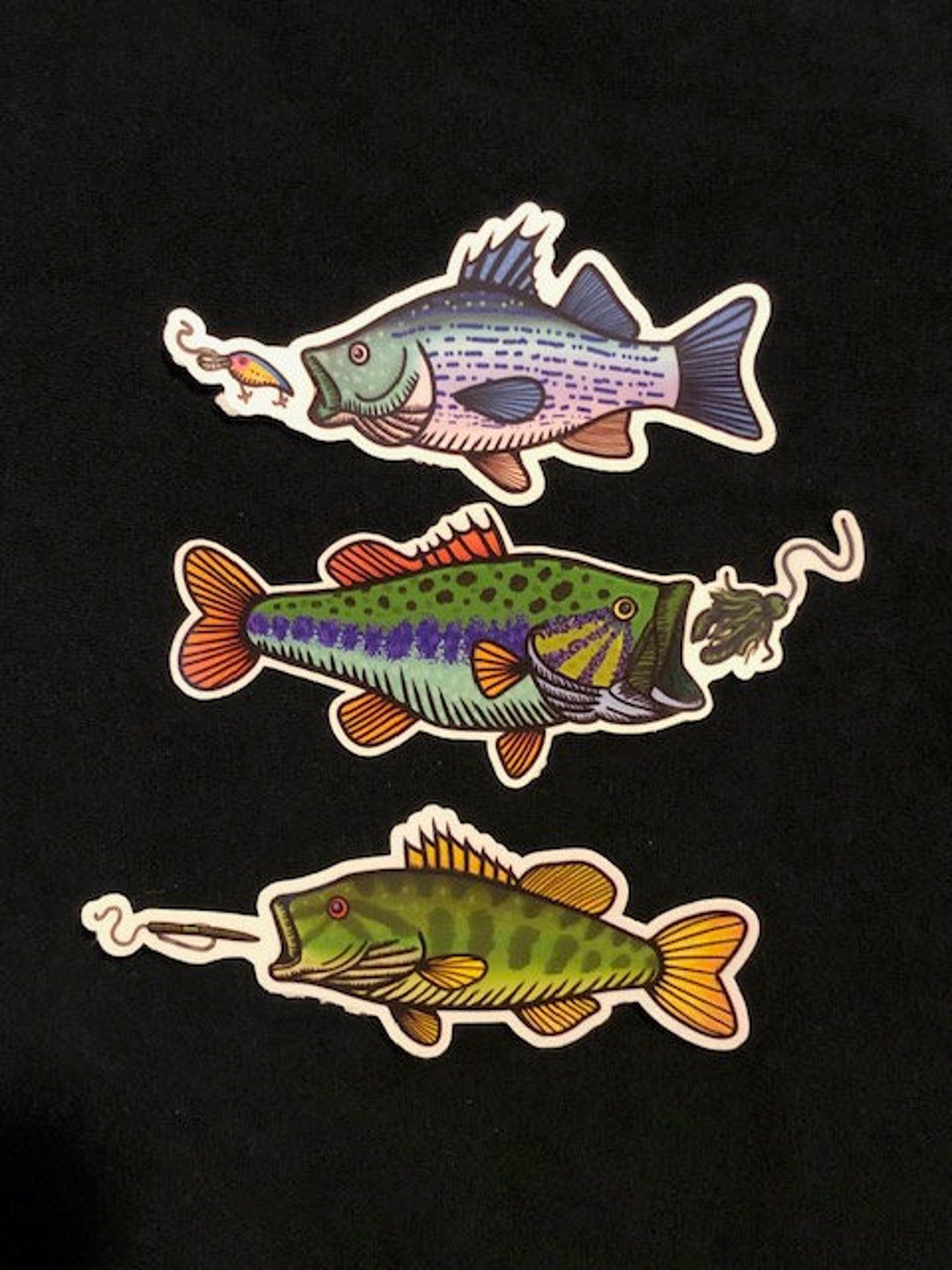 Bass Fishing, Largemouth Bass, Smallmouth Bass, Wiper Bass, Fishing ...