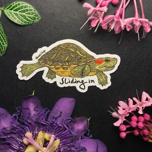Red Ear Slider - Etsy
