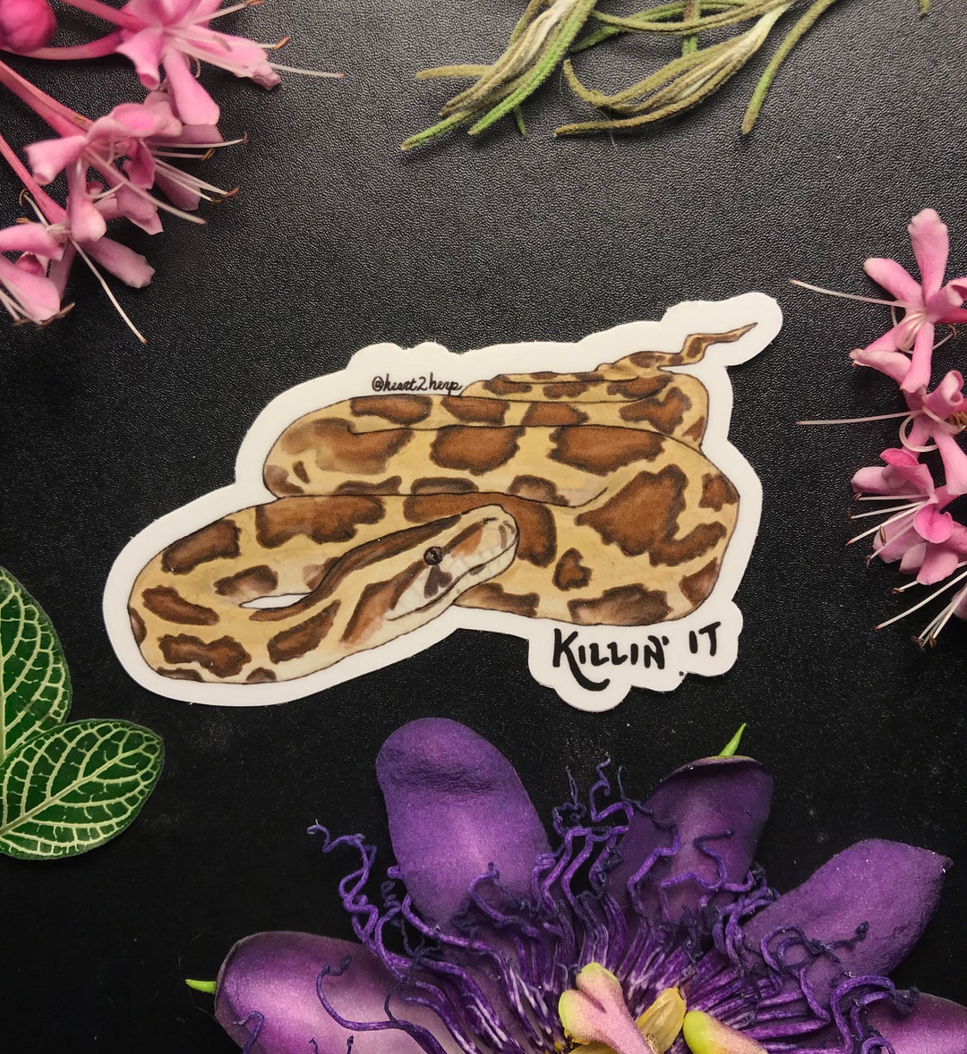 Burmese Python Killin' It Sticker - Etsy