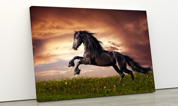Black Friesian Horse Gallop Pictures of A Horse Galloping | Etsy
