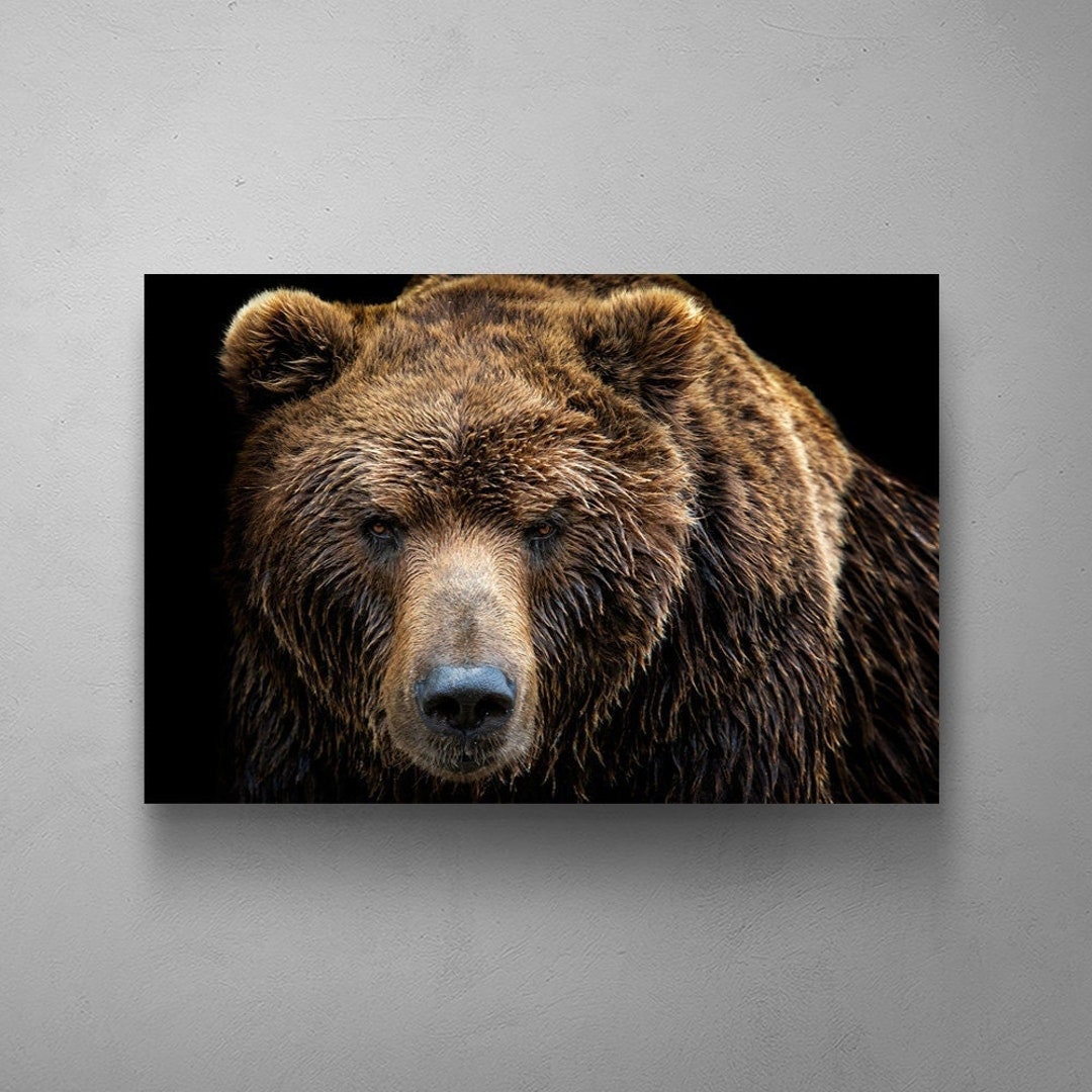 Grizzly Bear Portrait, Large Canvas Print, Forest Animal Art - Etsy