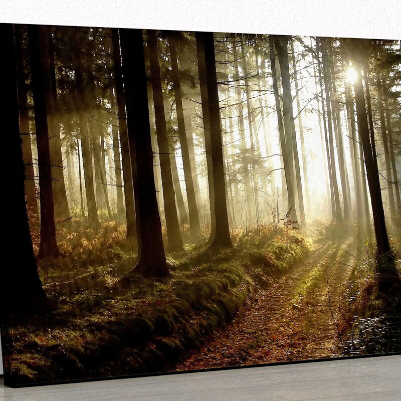 Forest Wall Art - Etsy