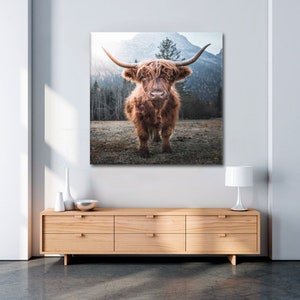 Scottish Brown Cow, Rustic Wall Decor, Cow Print, Western Home Decor ...