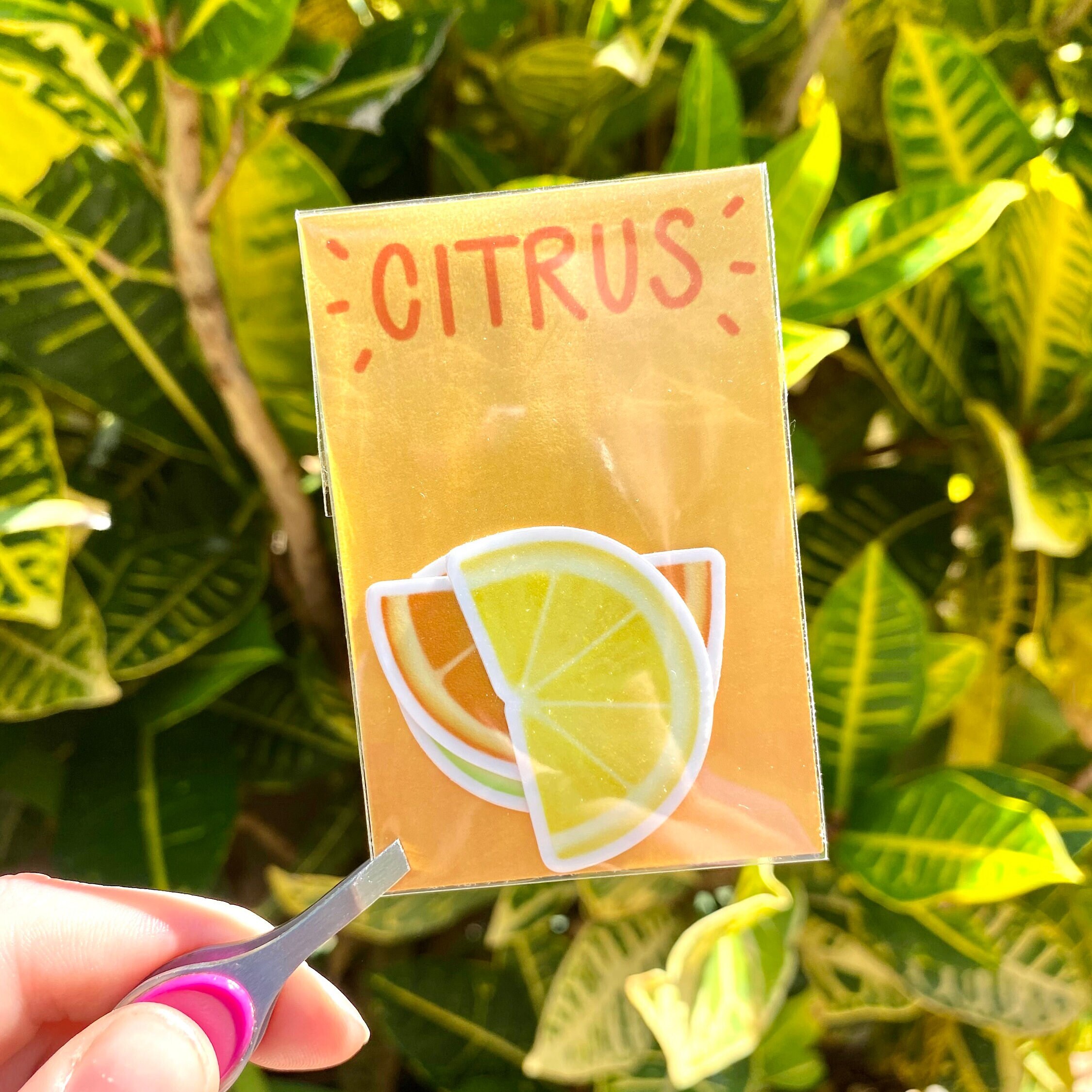 Mini Sticker Pack, Sticker Pack, Citrus Sticker, Citrus Slice Stickers ...