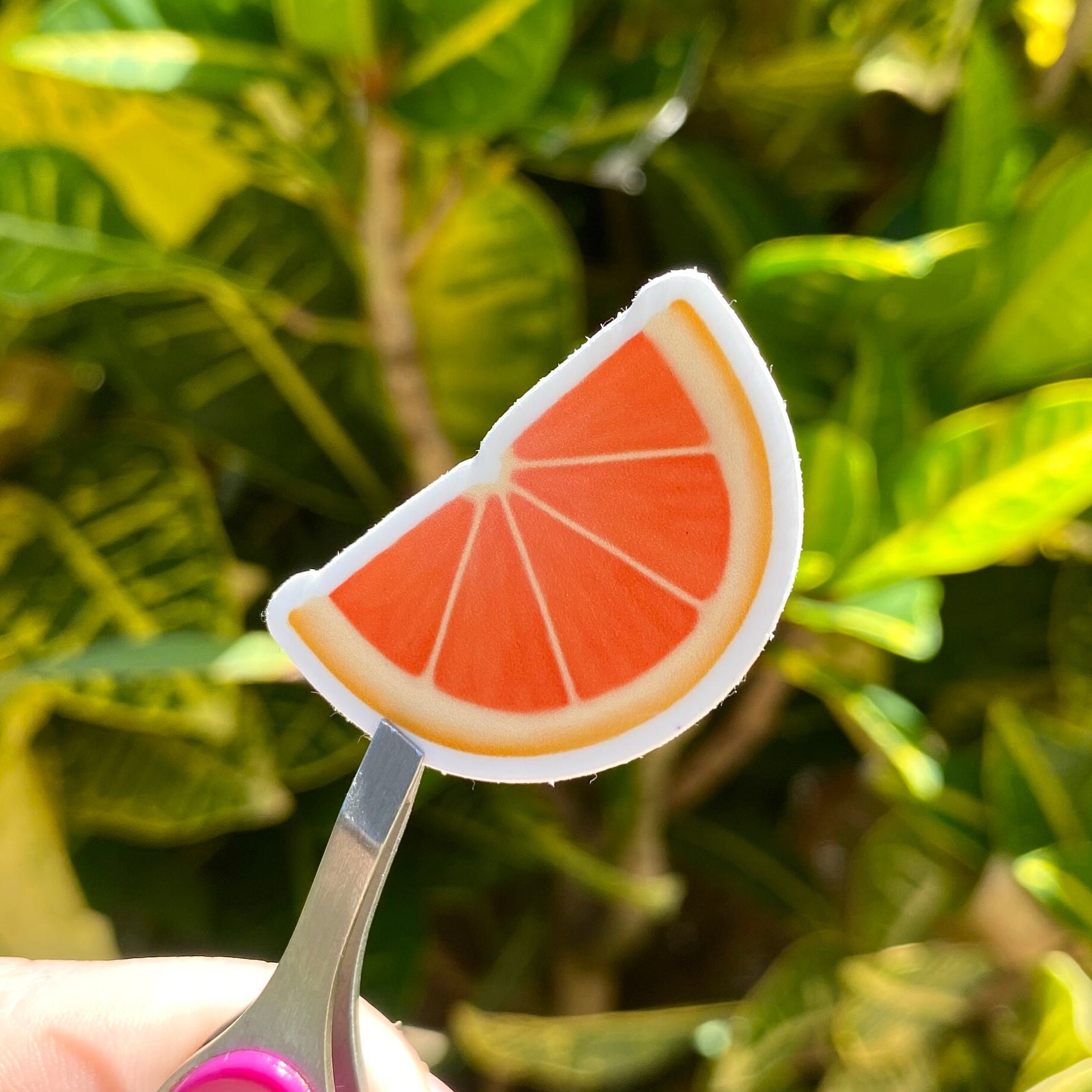 Mini Sticker Pack, Sticker Pack, Citrus Sticker, Citrus Slice Stickers ...
