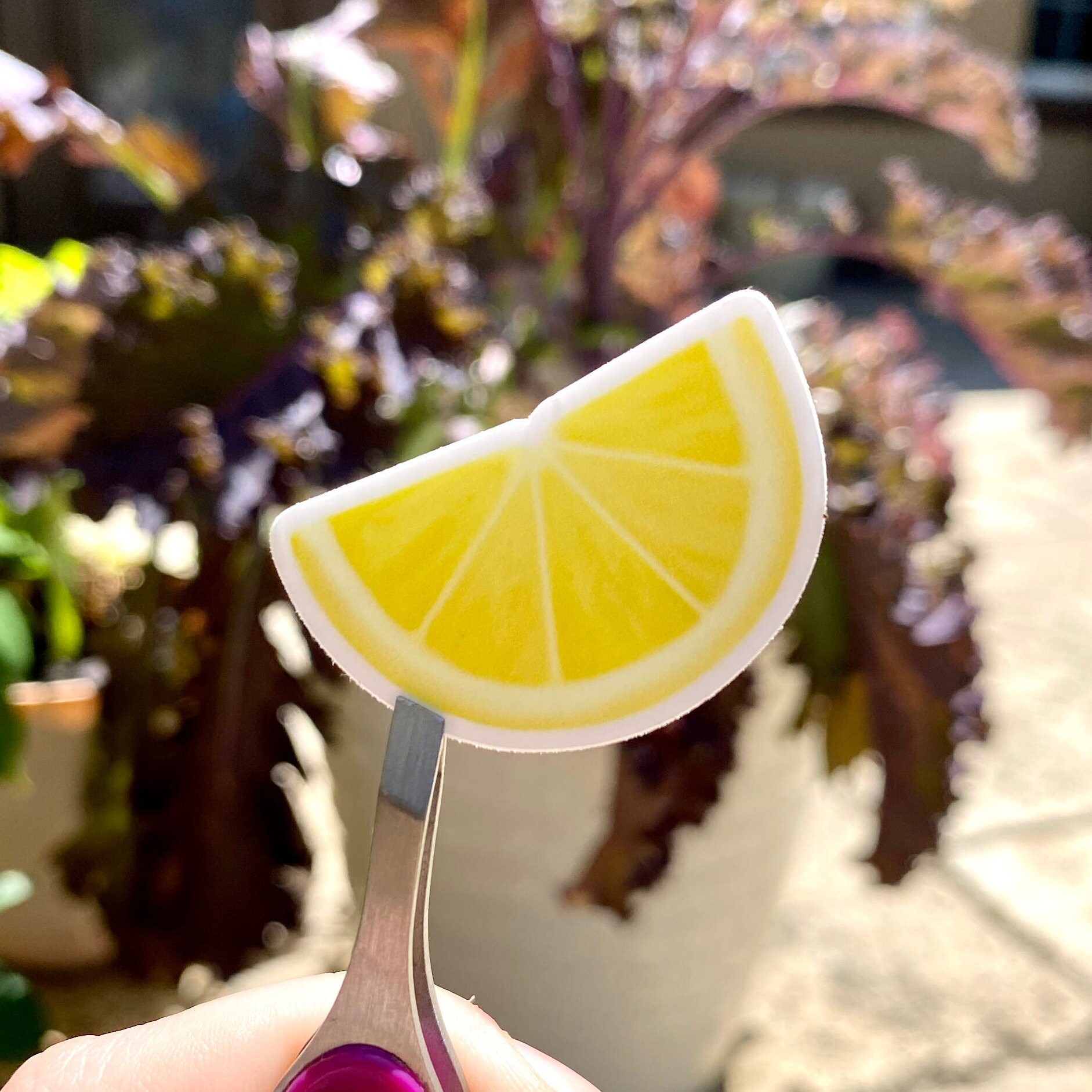 Mini Sticker Pack, Sticker Pack, Citrus Sticker, Citrus Slice Stickers ...