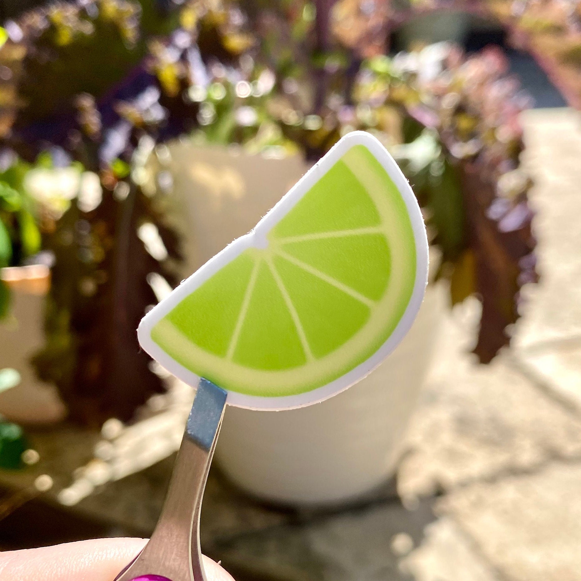 Mini Sticker Pack, Sticker Pack, Citrus Sticker, Citrus Slice Stickers ...