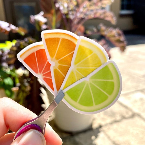 Mini Sticker Pack Sticker Pack Citrus Sticker Citrus Slice - Etsy