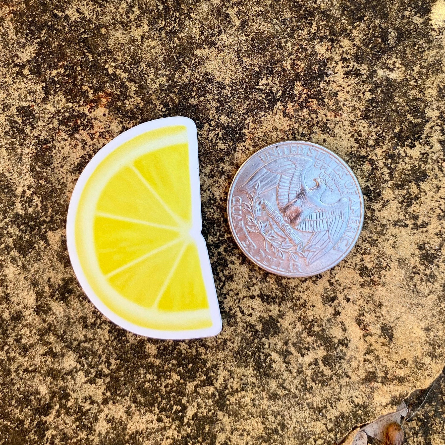 Mini Sticker Pack, Sticker Pack, Citrus Sticker, Citrus Slice Stickers ...