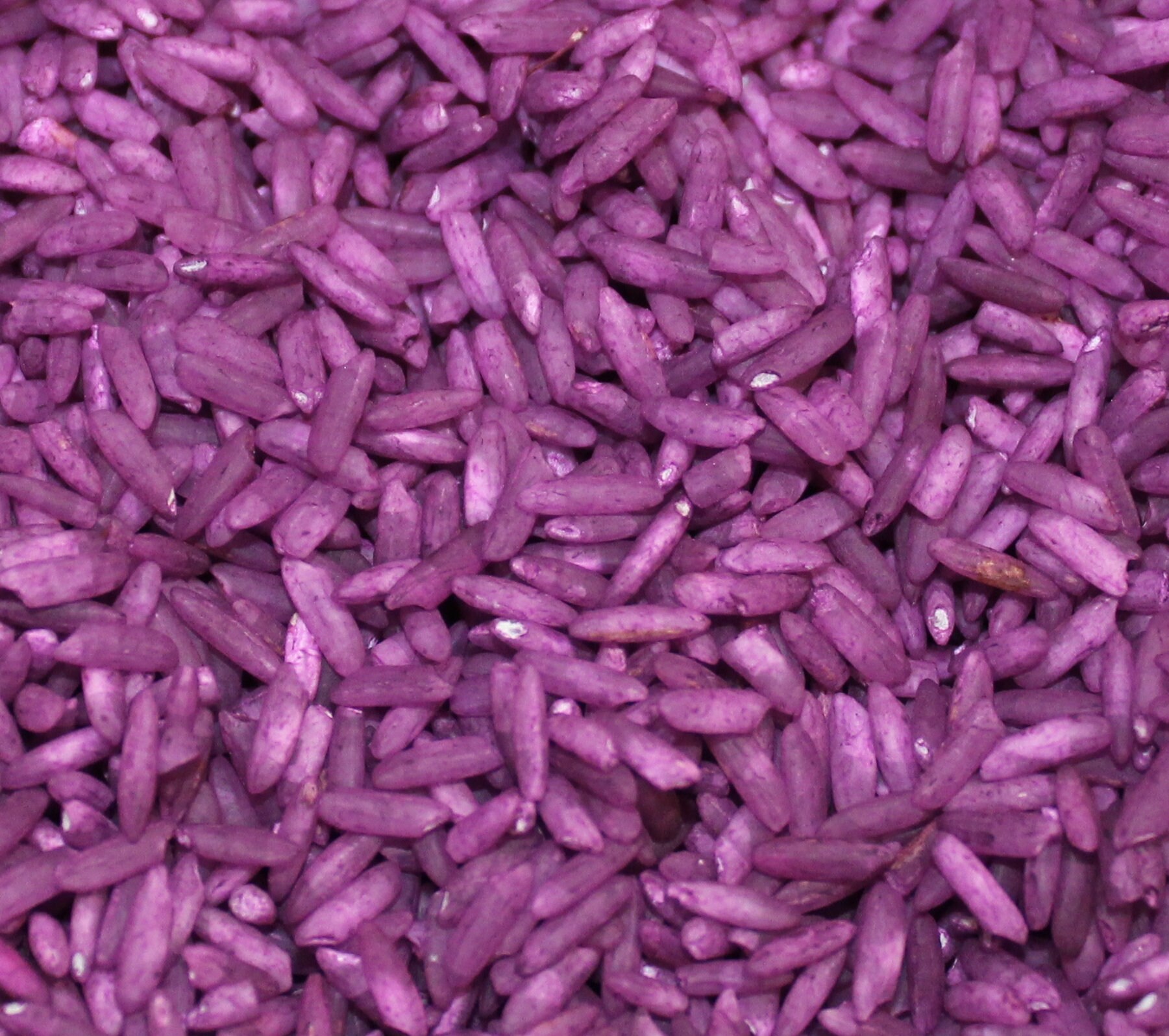Neon Colored Rice for Sensory Bins One Cup of Each Color Hot - Etsy