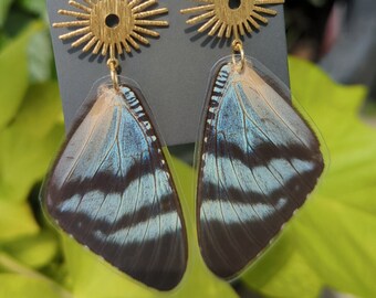 Zodiac Moth Wing Earrings, Real Butterfly Wing Earrings - Etsy