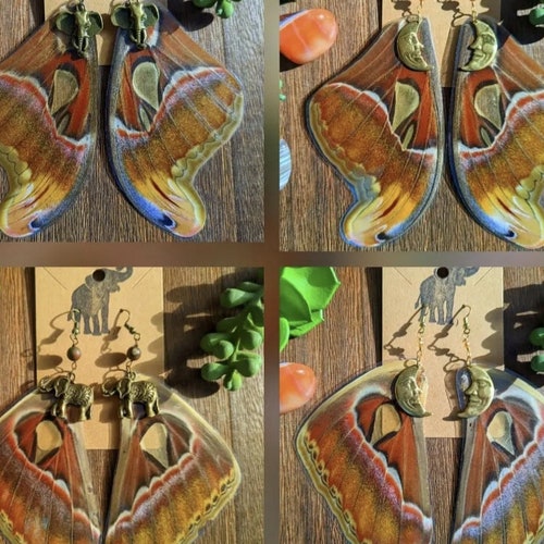 Real Butterfly Wing Earrings// Sunset Moth Jewelry// - Etsy