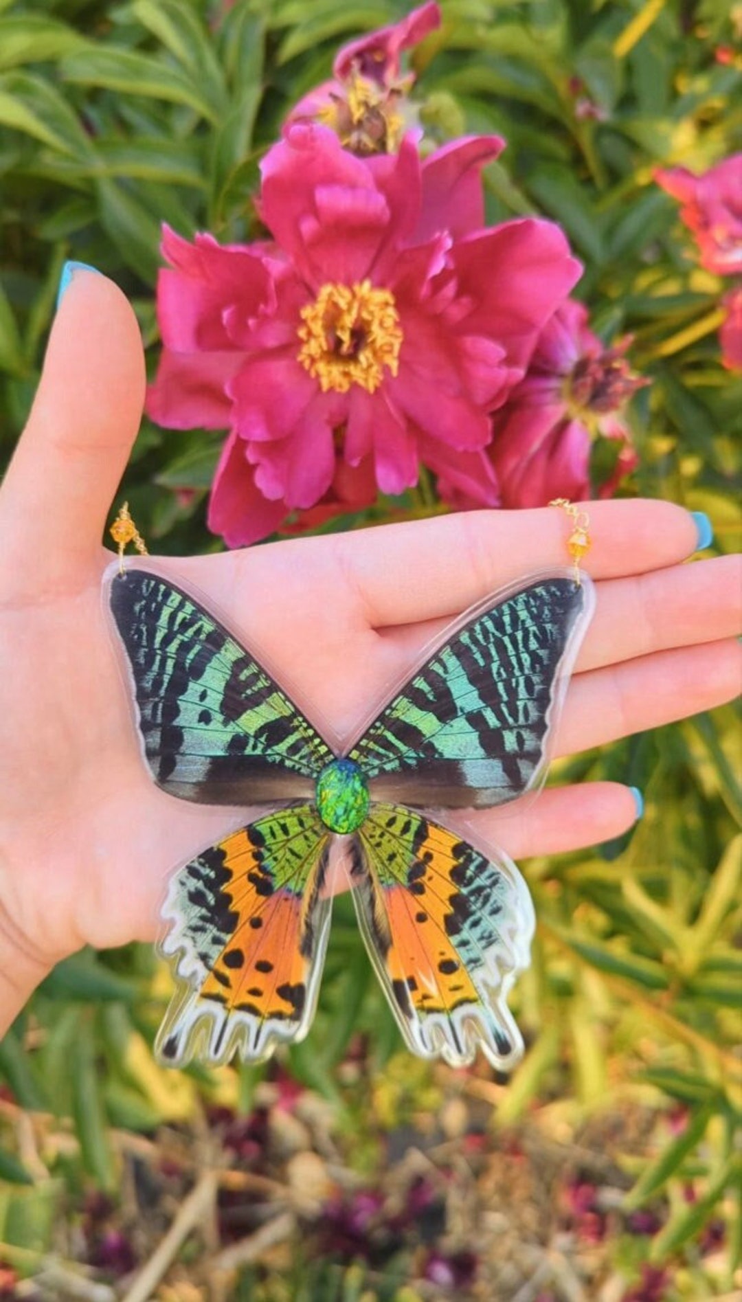 Real Madagascan Sunset Moth Wing Necklace, Real Butterfly Wing Earrings ...