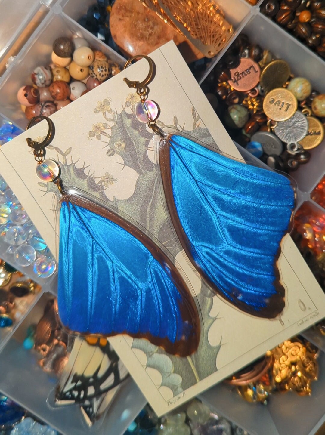 Blue Morpho Butterfly Wing Earrings, Real Butterfly Wing Earrings ...