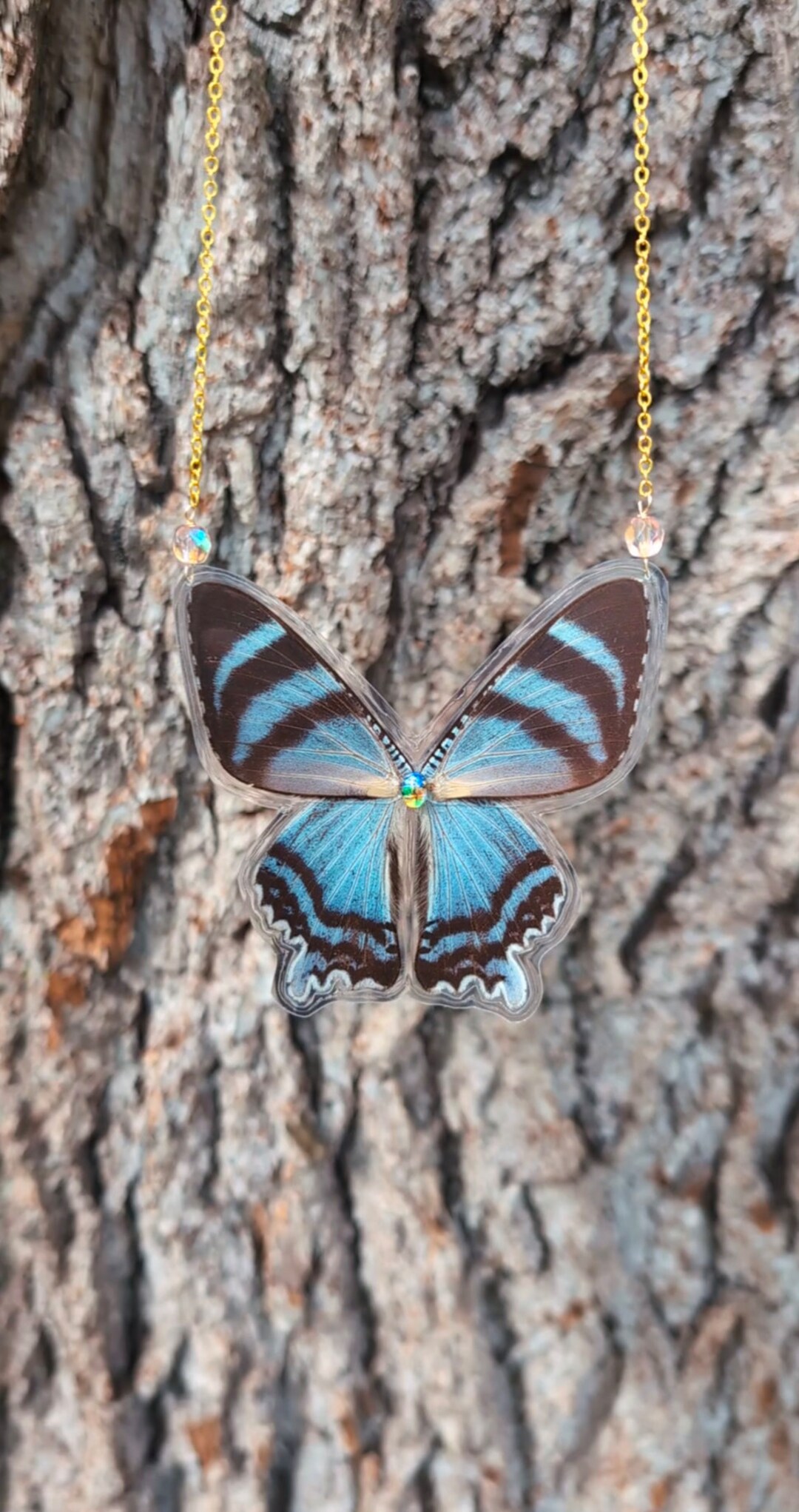 Zodiac Moth Wing Necklace, Real Moth Wing Jewelry - Etsy