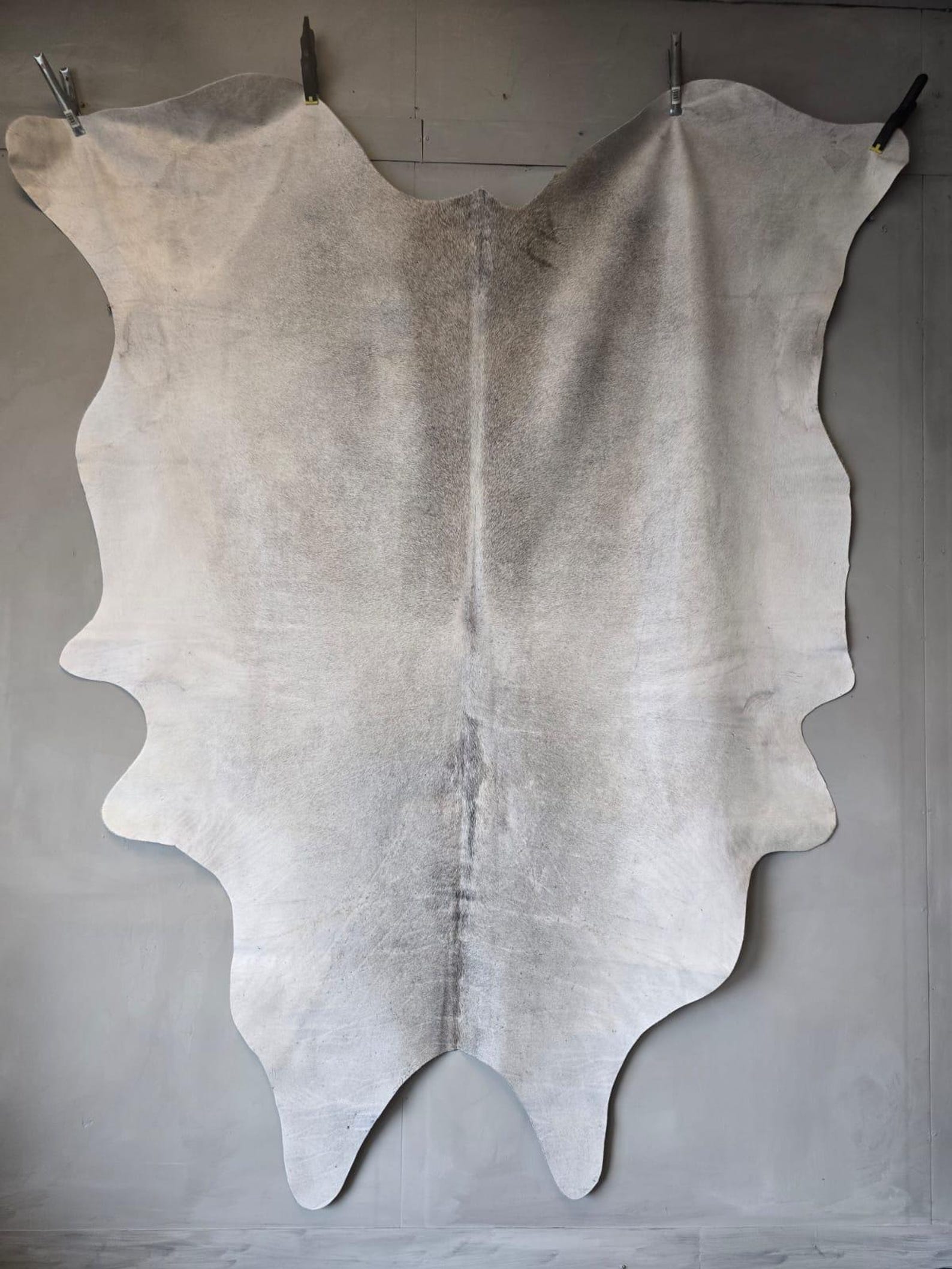 Genuine Cow Hide Rug White and Grey PK Scorch Mark LARGE Carpet Rug ...
