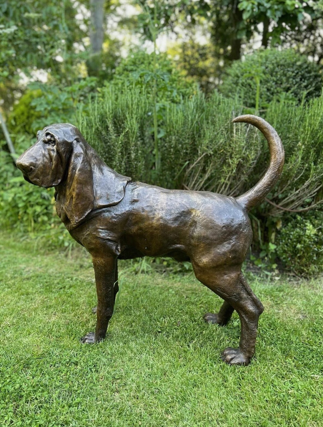 Bronze Hound Life Size Dog Blood Hound Bronze Dog Garden Statue Cast ...