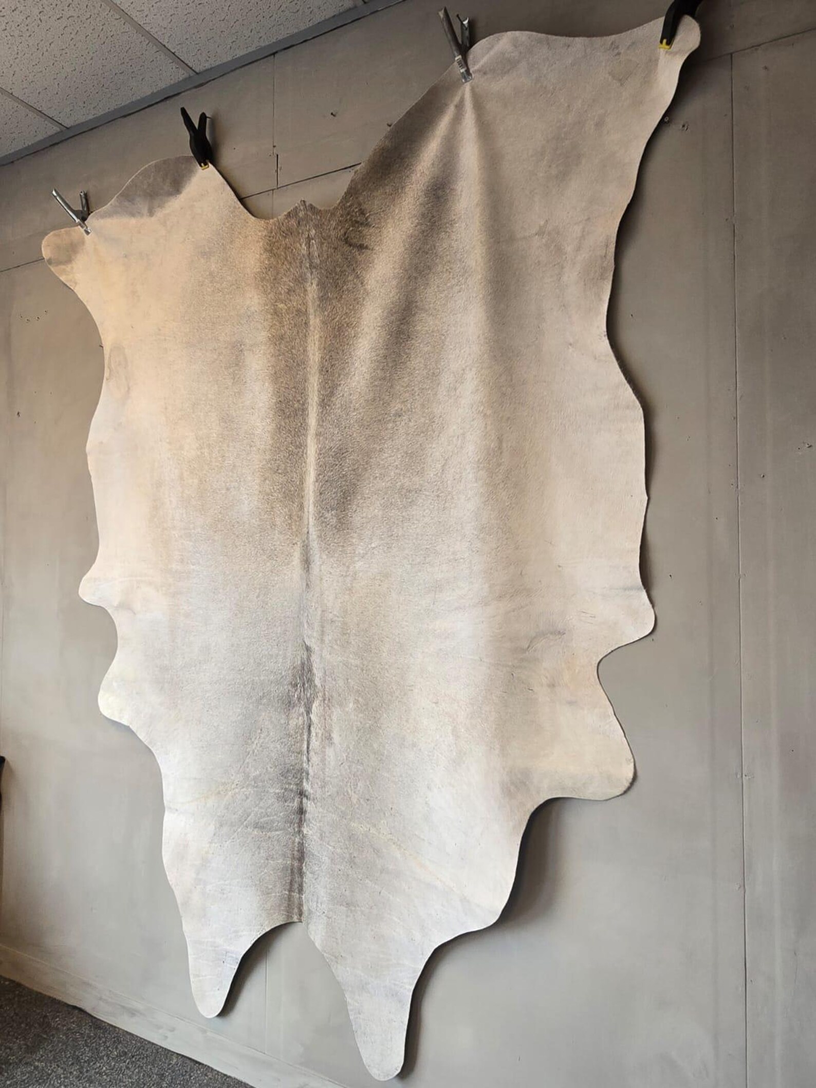 Genuine Cow Hide Rug White and Grey PK Scorch Mark LARGE Carpet Rug ...