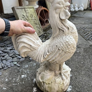 Large Chicken Rooster Cast Stone Chicken Male Chicken White Rooster ...