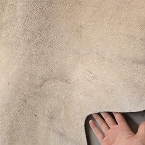 Genuine Cow Hide Rug White and Grey PK Scorch Mark LARGE Carpet Rug ...
