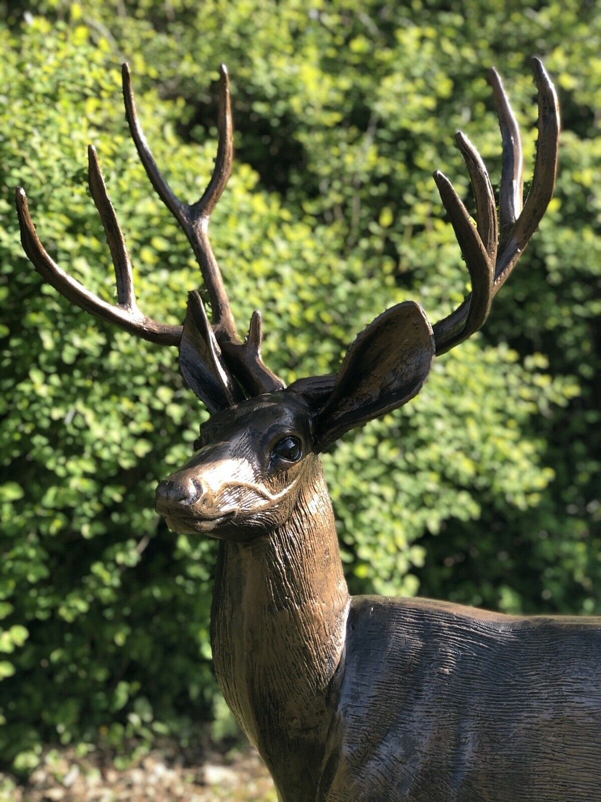 Bronze Stag in Cast Aluminium Life Size Bronze Finish Deer Buck Stag ...