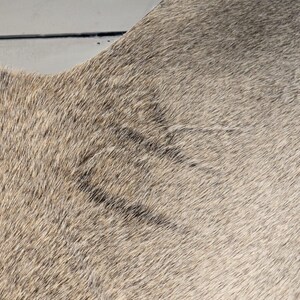 Genuine Cow Hide Rug White and Grey PK Scorch Mark LARGE Carpet Rug ...