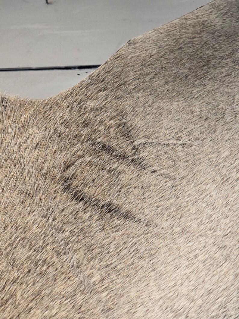 Genuine Cow Hide Rug White and Grey PK Scorch Mark LARGE Carpet Rug ...
