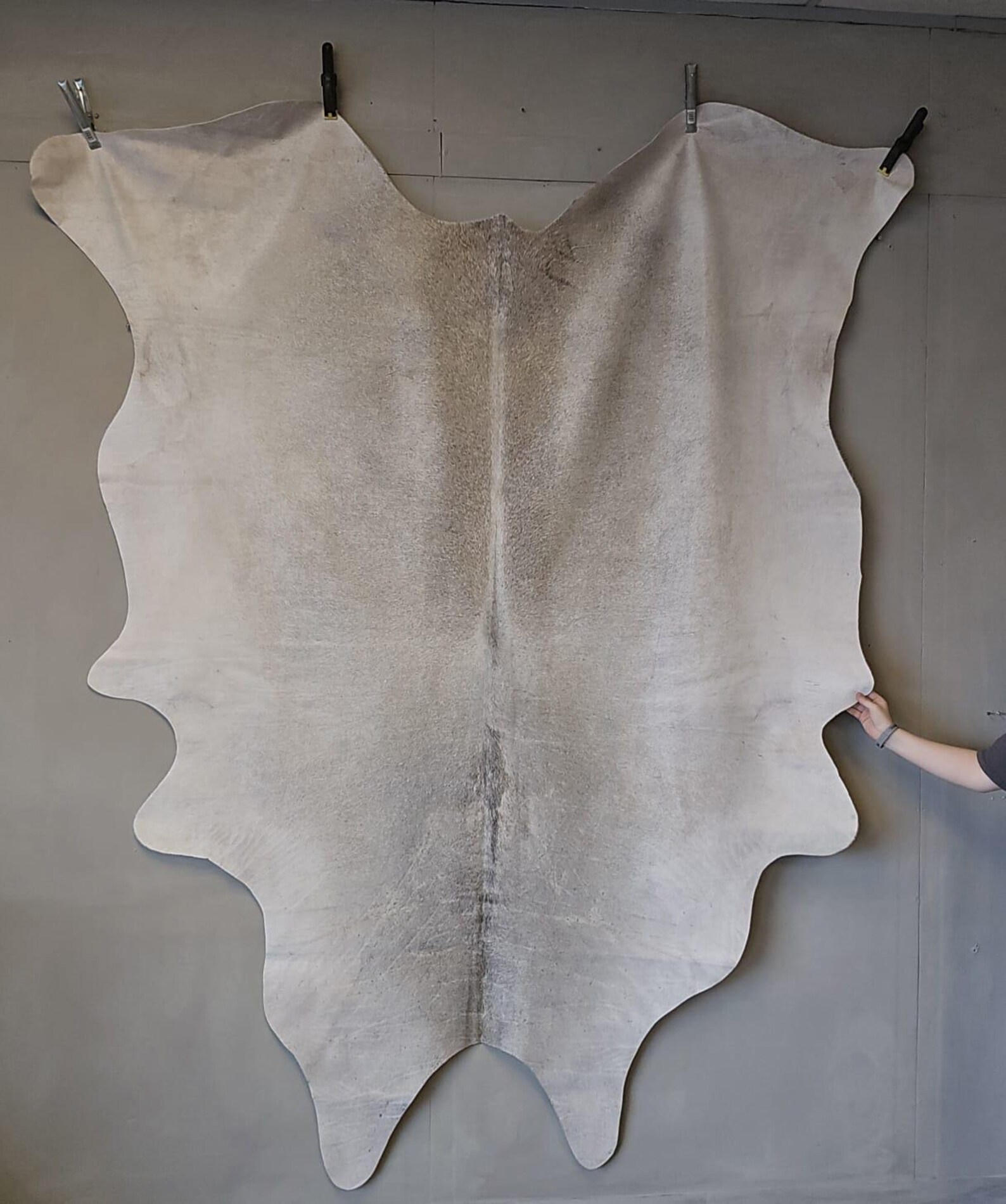 Genuine Cow Hide Rug White and Grey PK Scorch Mark LARGE Carpet Rug ...