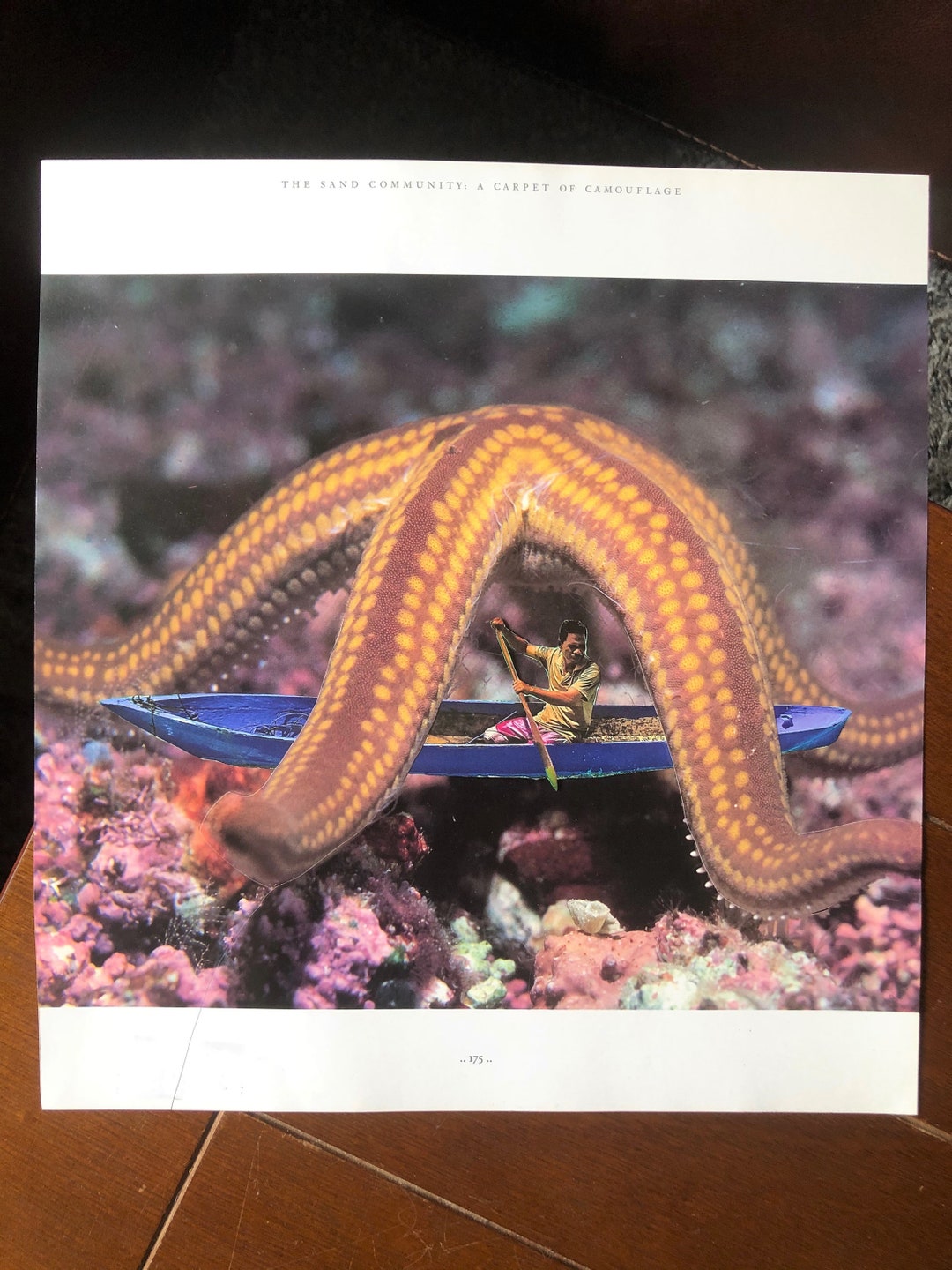 STARFISH, Collage Art, Handmade, Contemporary Art, Art - Etsy