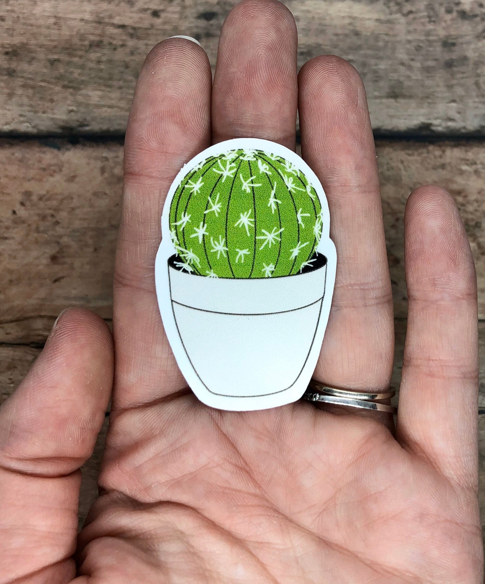 Cactus sticker small cactus stickers plant stickers water | Etsy