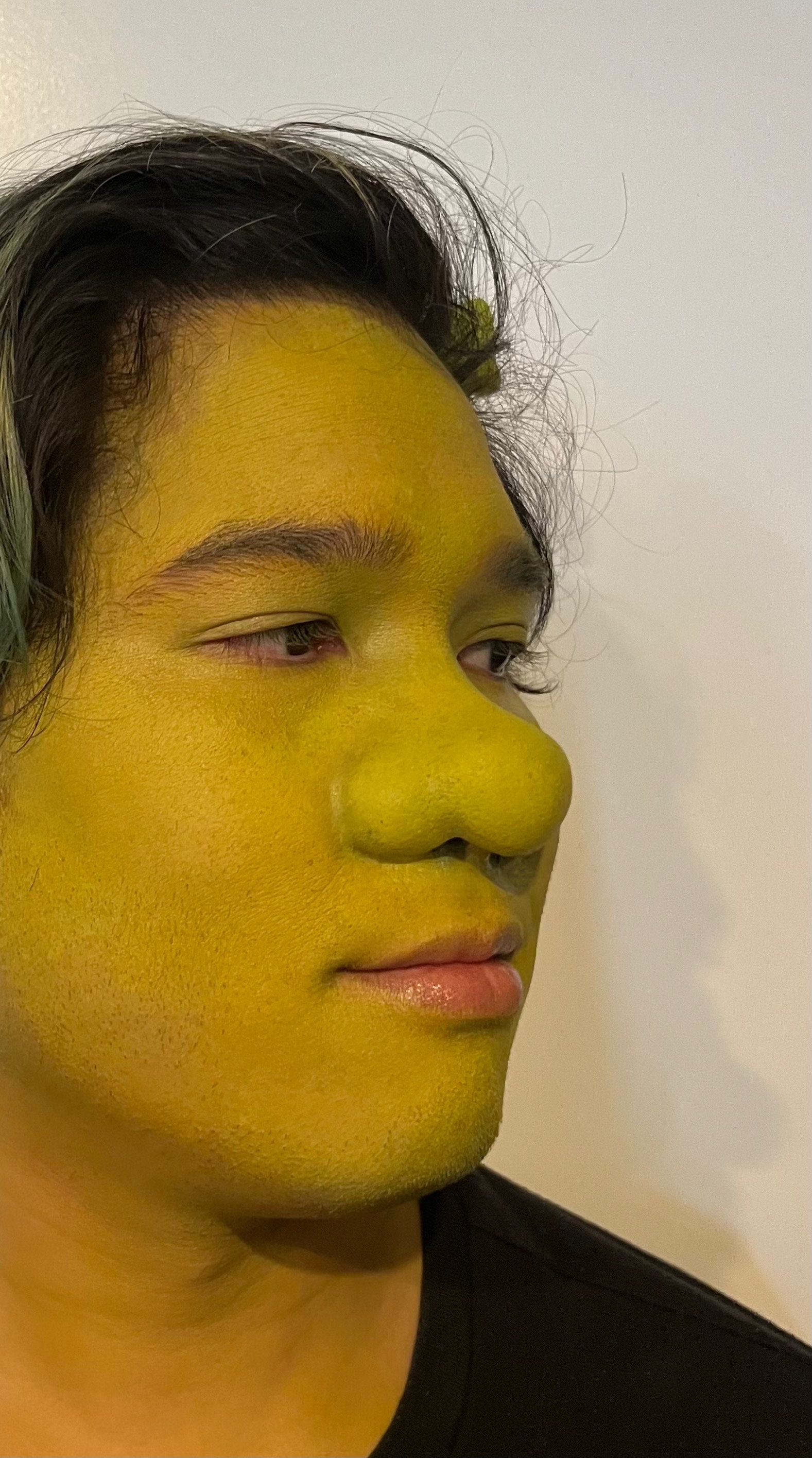 SFX Large Ogre, Shrek Nose, Troll, Dwarf Silicone Prosthetic | Shrek ...