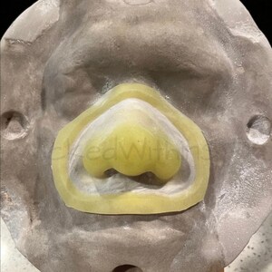 SFX Small Ogre, Fiona Nose, Troll, Dwarf Silicone Prosthetic | Shrek ...