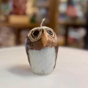 Night Owl Candle, Animal Shaped Candle, Scented Owl Candle, Colourful ...