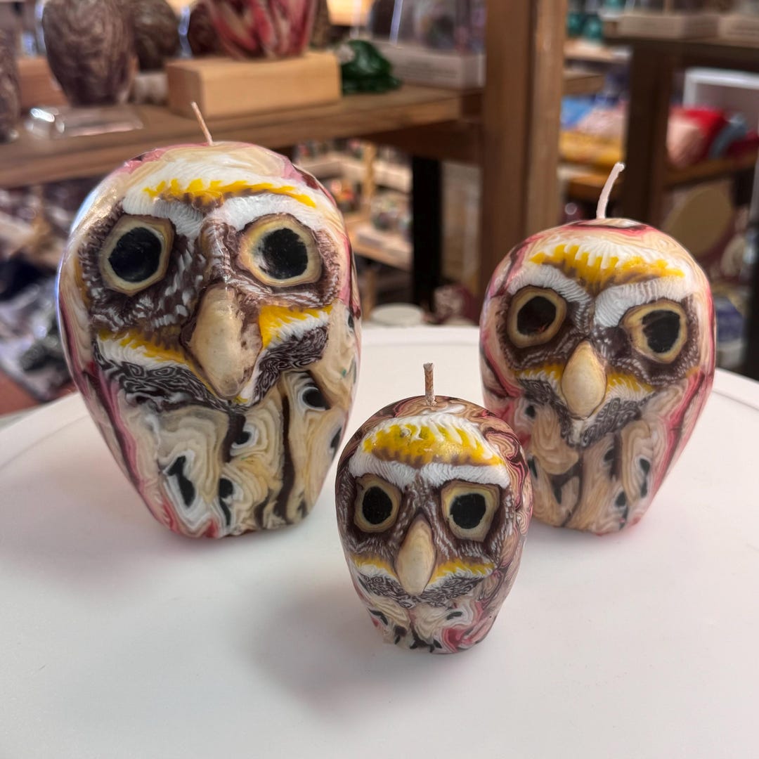 Night Owl Candle, Animal Shaped Candle, Scented Owl Candle, Colourful ...