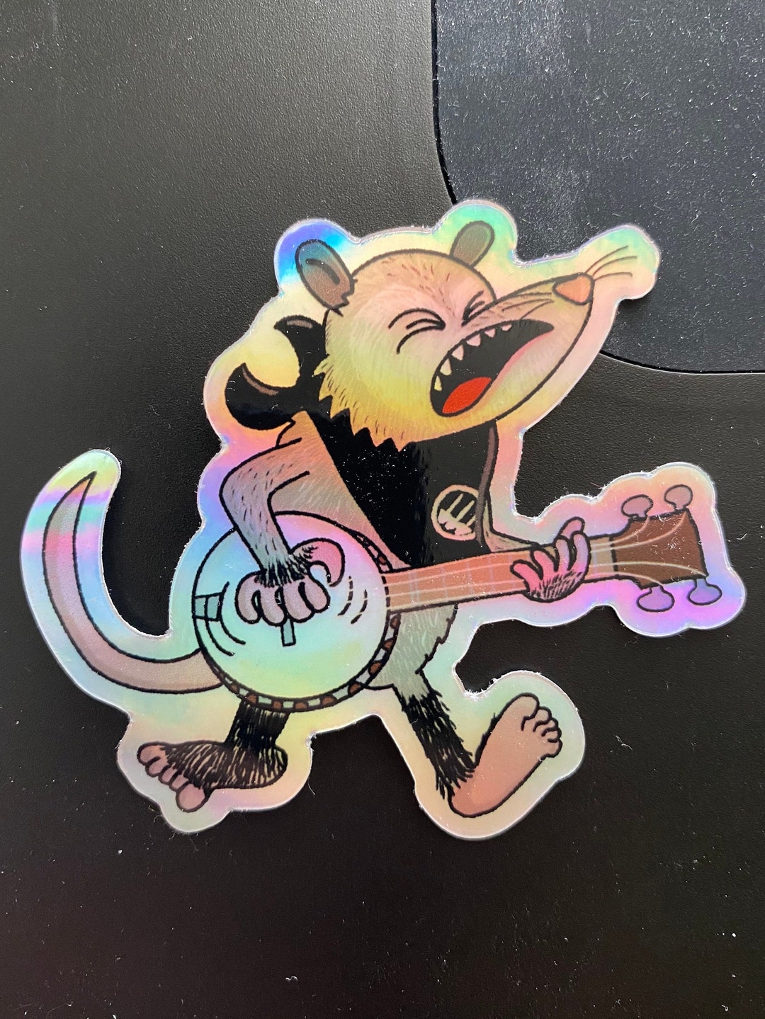 Folk Punk Possum Sticker - Etsy